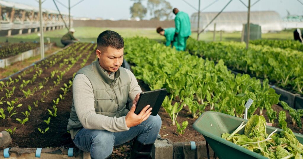 How to Integrate Technology with Traditional Farming: A Simple Guide ...
